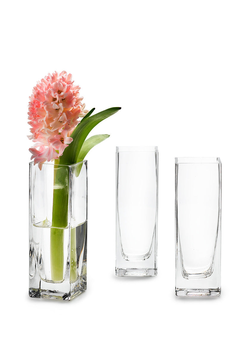 How to Decorate a Square Glass Vase | Jamali Garden