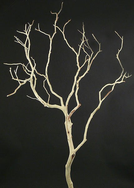 Decorative Branches | Wholesale | Jamali Garden – tagged "DRY ...