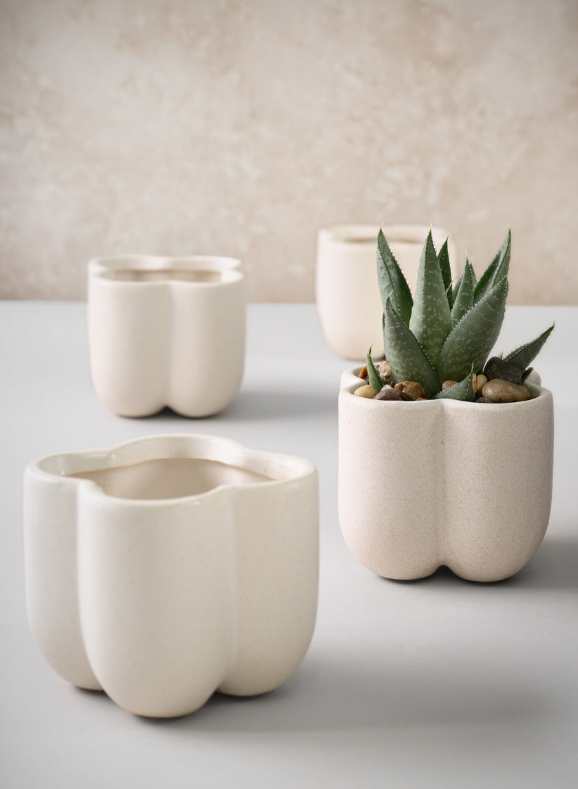 3.25in Tall Sand White Freya Ceramic Cachepot, Set of 4 – Jamali Garden